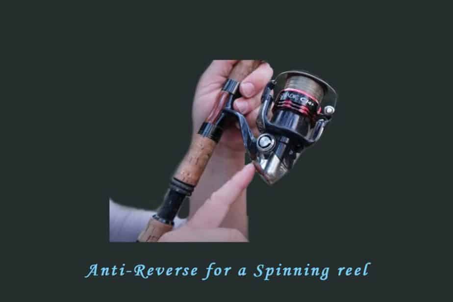 Why Are Spinning Reels Left Handed ( How to Switch Handle) - Fishing Papa