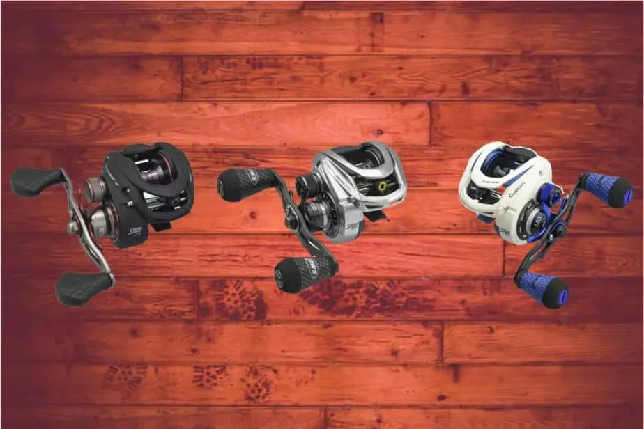 Spincast Reel Vs Spinning Reel: Which One to Choose? - Fishing Papa