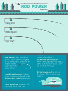 What is Fishing Rod Power and Action : (A Quick Guide) - Fishing Papa