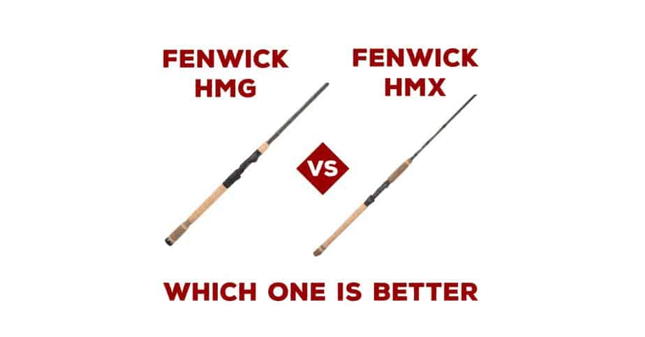 Fenwick HMG vs HMX : Which one is Better ? - Fishing Papa