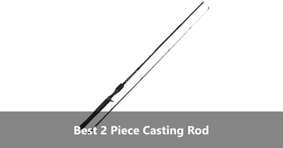 Best 2 Piece Baitcasting Rod ( Top Ten Picks for 2024) - Fishing Papa