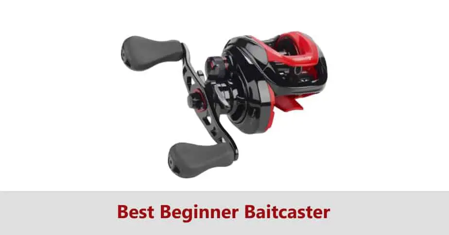 7 Best Baitcasting Reels For Beginner ( Top Picks for 2024) - Fishing Papa