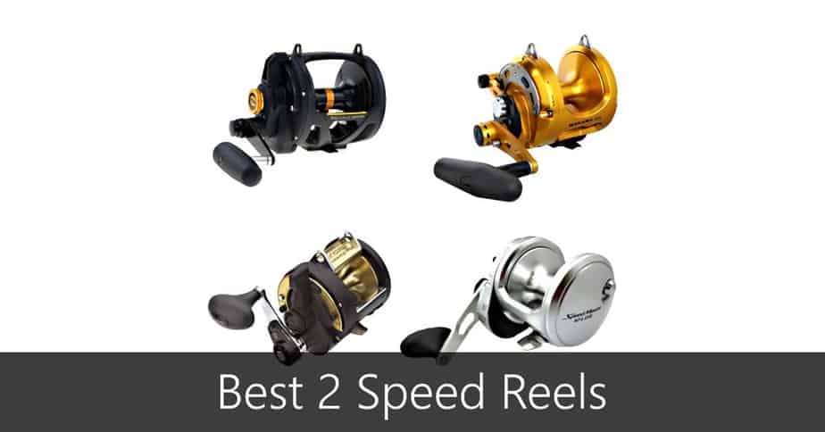 5 Best 2 Speed Reels (Top Picks for 2022) - Fishing Papa