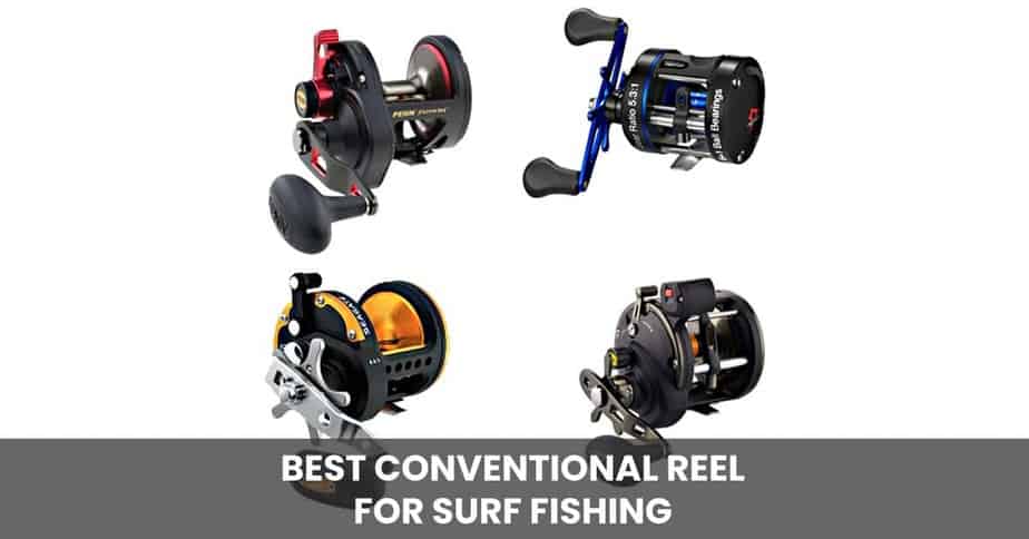 5 Best Conventional Reels for Surf Fishing ( Top Picks for 2024 ...