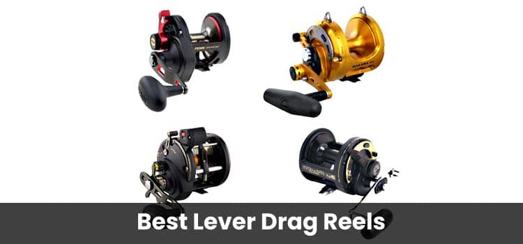 5 Best Lever Drag Reels (Top Picks for 2022) - Fishing Papa