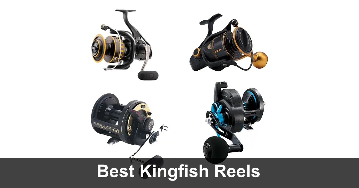 Top 5 Kingfish Reels (Guide 2024) - Fishing Papa