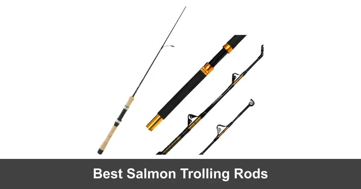 Trolling Rod for Salmon Fishing - (2024 Picks) - Fishing Papa