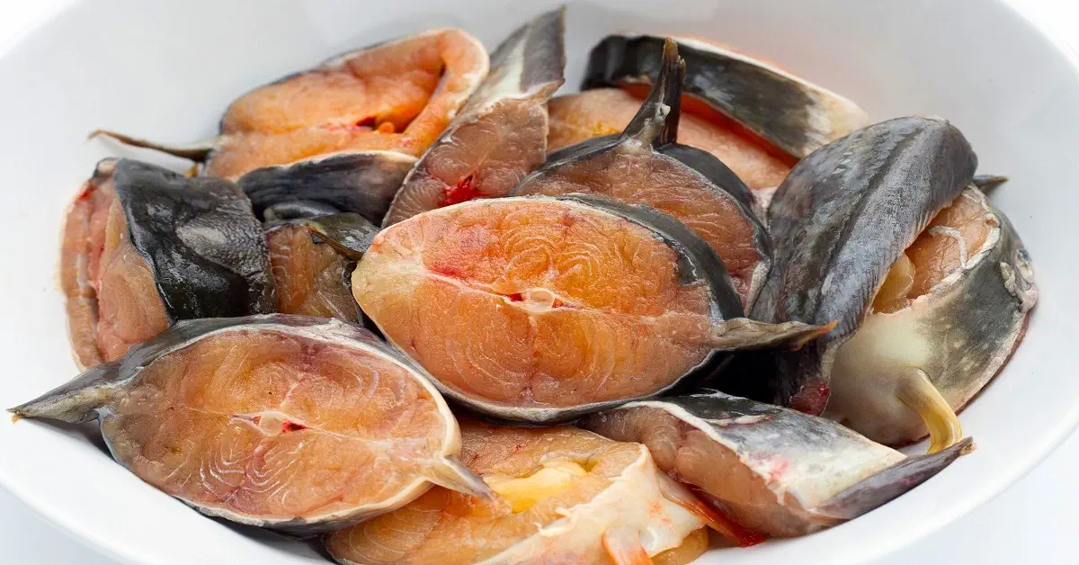 Are Blue Catfish Good to Eat (Here is the Answer) - Fishing Papa