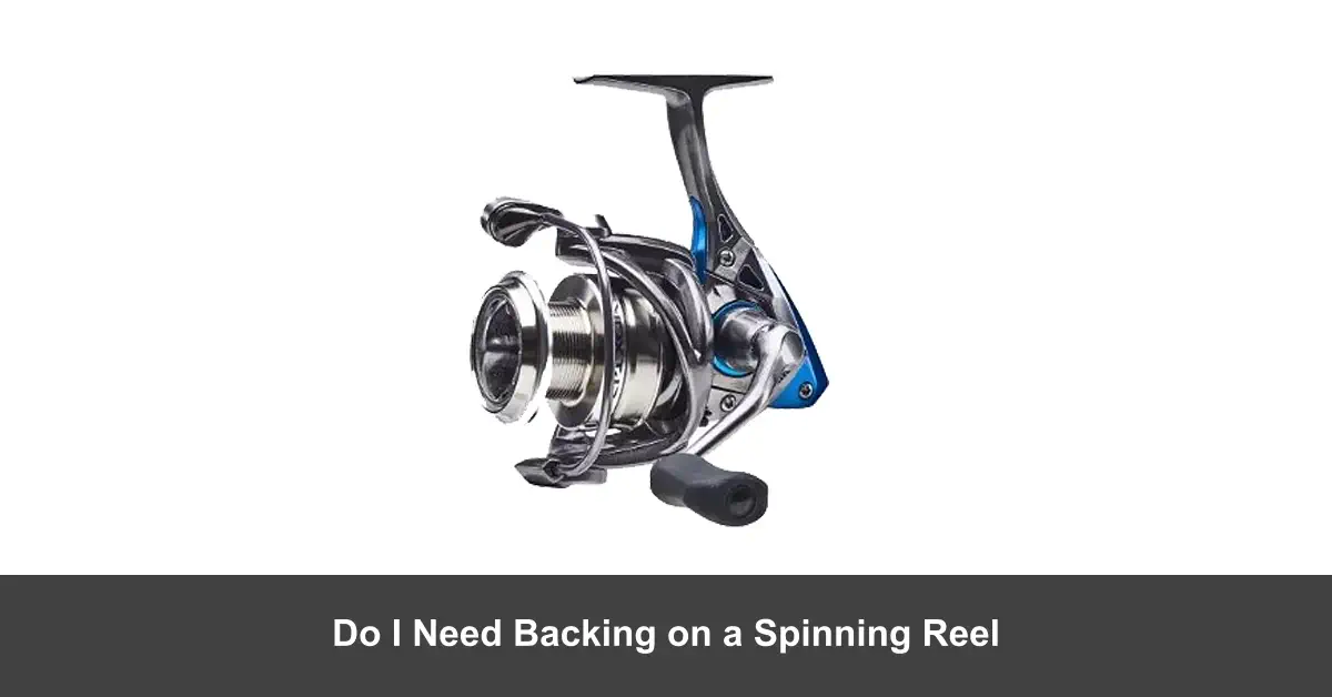 Do I Need Backing on a Spinning Reel? (A Quick Answer) - Fishing Papa